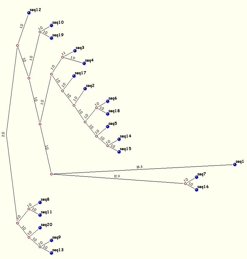 Mulan :: phylogenetic tree based on refine.fasta